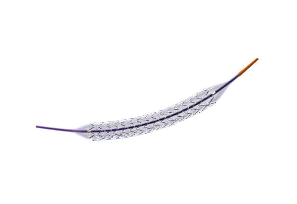 冠狀動脈支架 - Products | 法蘭德生技有限公司｜心導管支架及各式血管介入產品 Provider Pioneer Partner